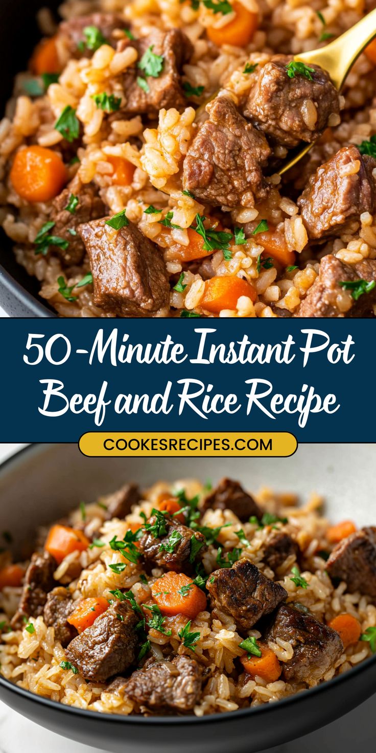Instant Pot Beef and Rice Recipe | Tessa Recipes